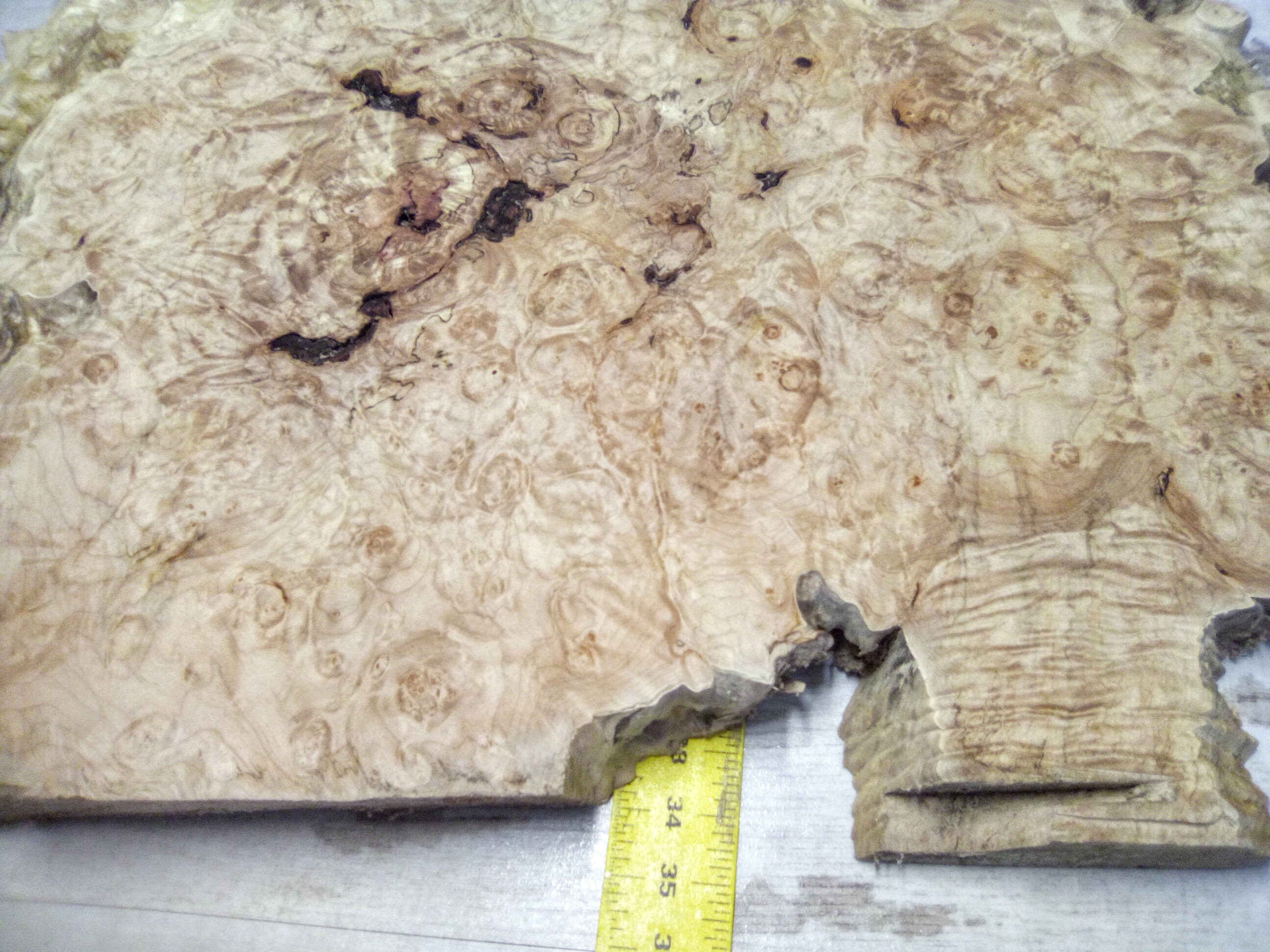 Maple Burl Slab 33