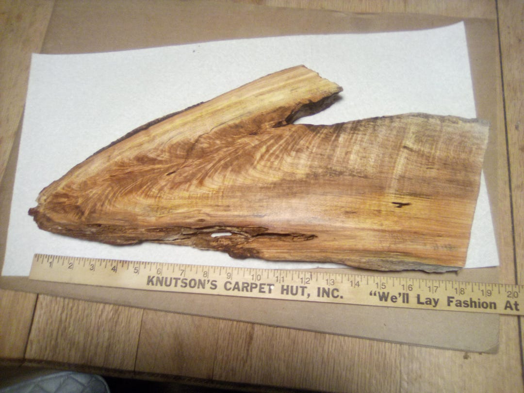 1 Figured ,spaulted,maple Crotch Feather Slice 17"x8"x1" - Etsy