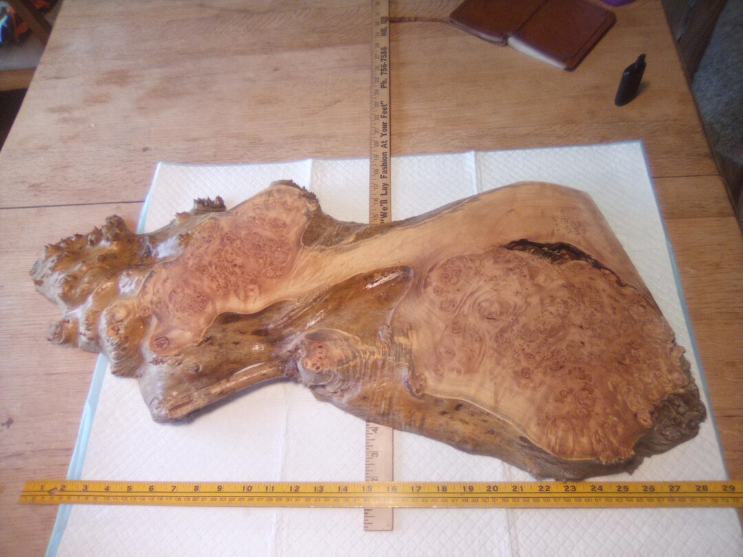 1 Figured , Quilted,maple ,burl Slice 32"x12"x1.75" Natural Edge Mostly ...