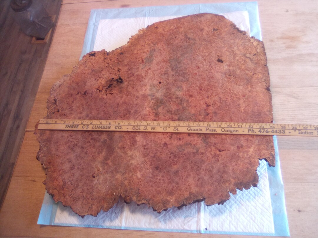 1 Maple Pin Burl Quilted Slice 24"x22"x1.5"...bark Removed!!kiln Dried ...