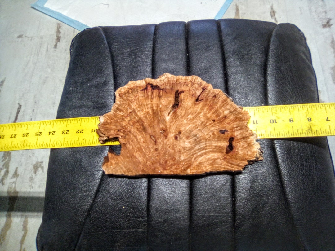 Maple Burl ...quilt..spault..slice8x7x 1/2 - Etsy