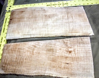 Fiddleback Maple | Etsy