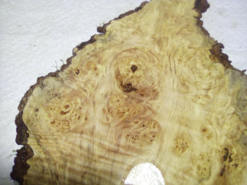 1 Maple Burl Slice 10"x10"x1.5"... Slightly Spaulted!!still Hard!!! - Etsy