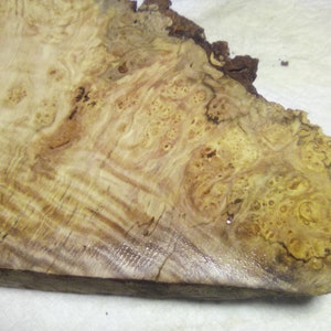 1 Maple Burl Slice 10"x10"x1.5"... Slightly Spaulted!!still Hard!!! - Etsy