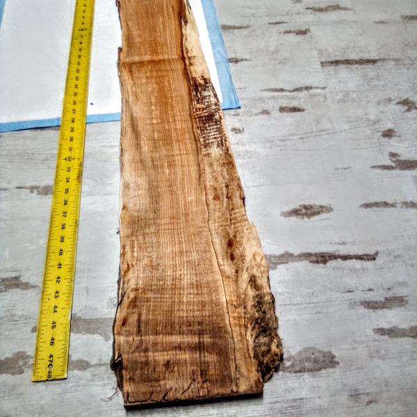 Fiddleback Maple - Etsy