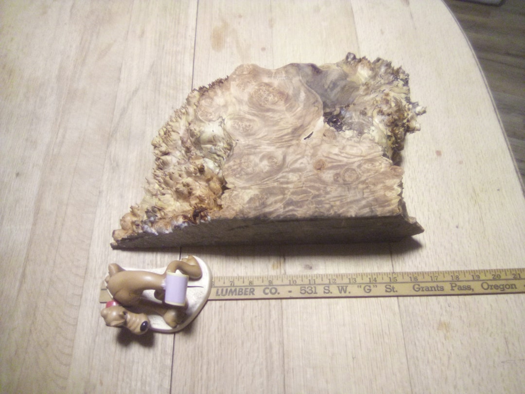 1 Maple Burl Turning Block-bandsaw Box 15"x11"x3.5" One Natural Edge ...