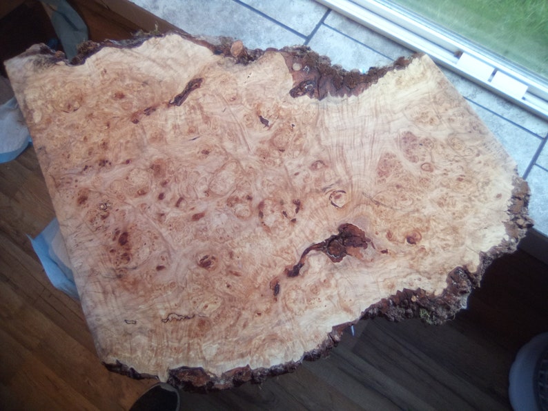 1 Maple Burl Quilted Slice 21"x21"x3/4"... Slightly Spaulted!!still ...