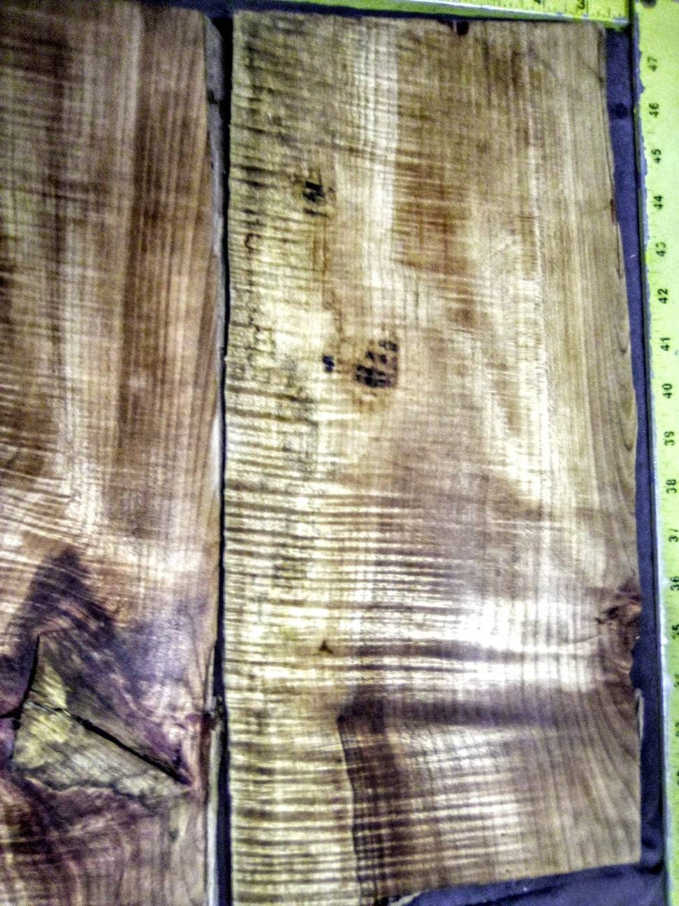 Fiddleback Maple 2 Pieces16"x8"x1" - Etsy
