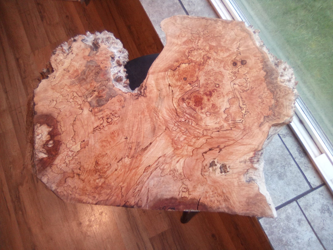 1 Spaulted Maple Burl Slice 21"x15"x1.5"...amazing Spault!!still Hard ...