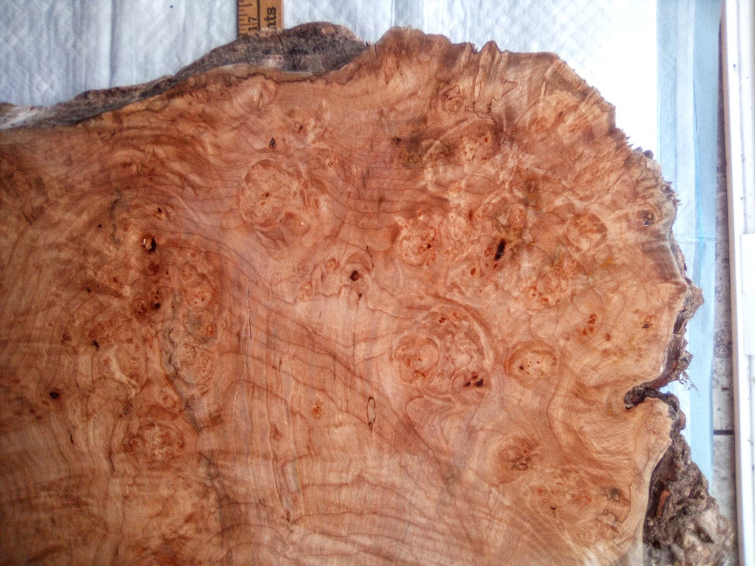1 Spaulted Maple Burl -quilt Slice 24"x15"x1.5" - Etsy