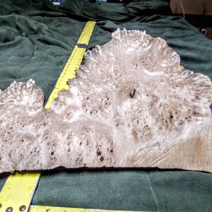 Maple Burl Slab 17"x11"x1 1/8" - Etsy