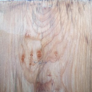 1 Figured ,spaulted,maple Slice 25"-21"-18"x17"x1" 50%natural Edge!! - Etsy