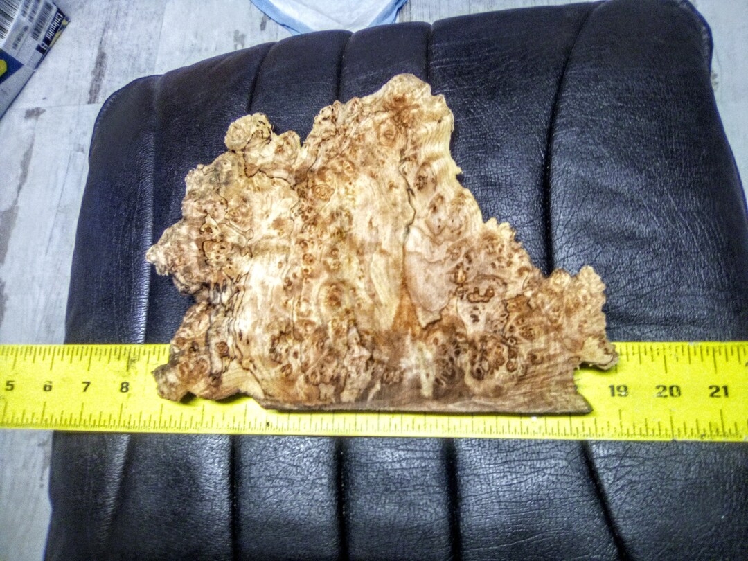 Maple Burl Spault Slice..8"x8"x5/8" - Etsy
