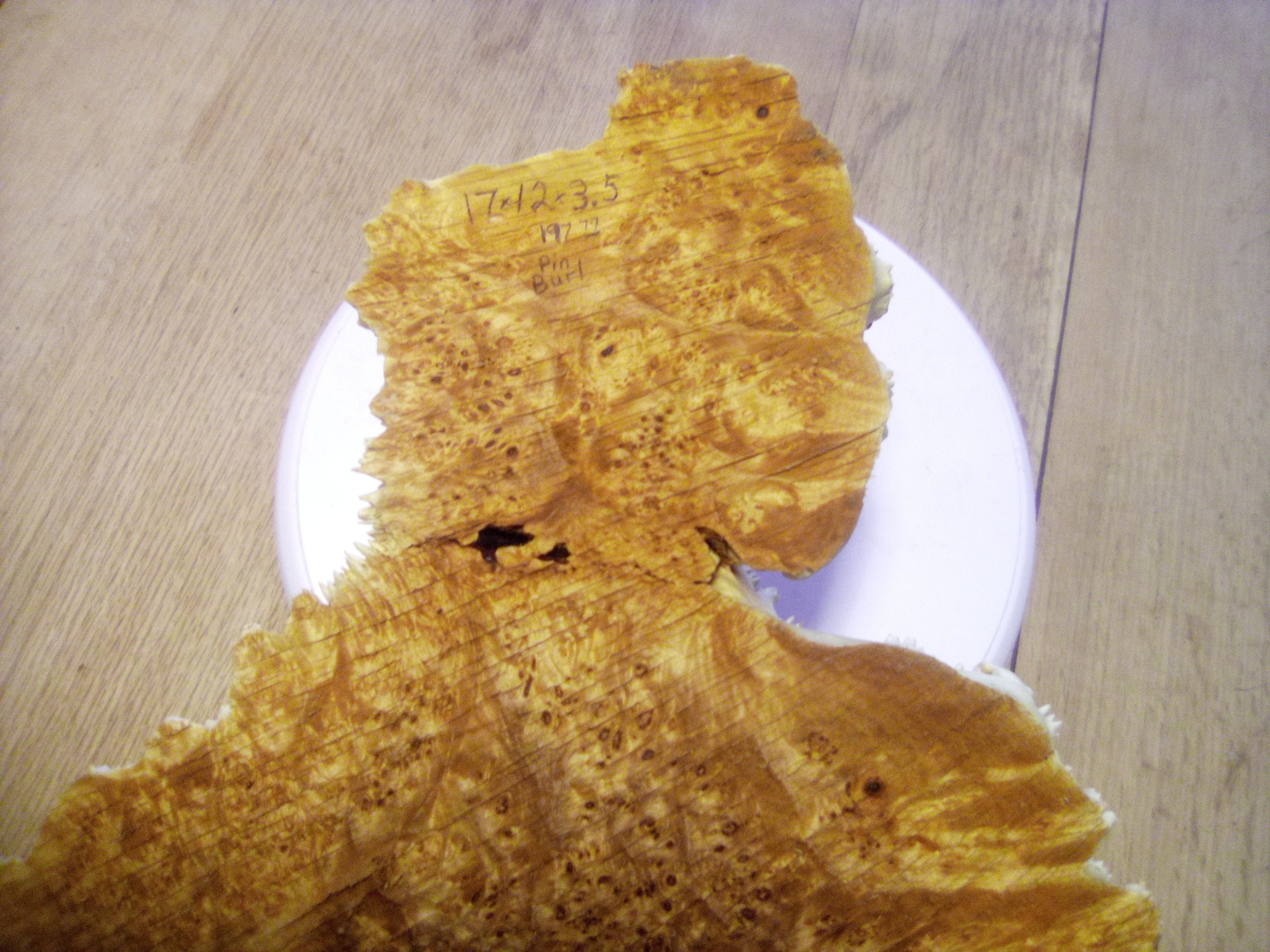 1 Maple Pin Burl -quilt Cap 17"x12"x3.5""bark Removed!! - Etsy