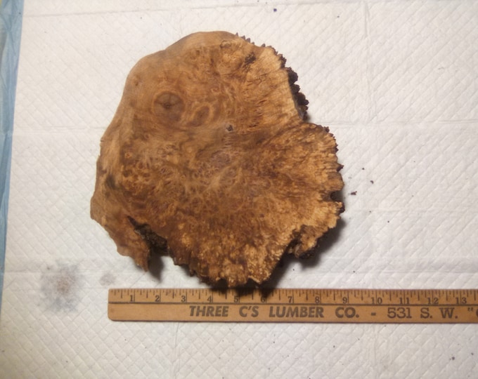 1 Maple Burl Slice 9x9x3/4... Slightly Spaultedstill Hard Natural Edge ...