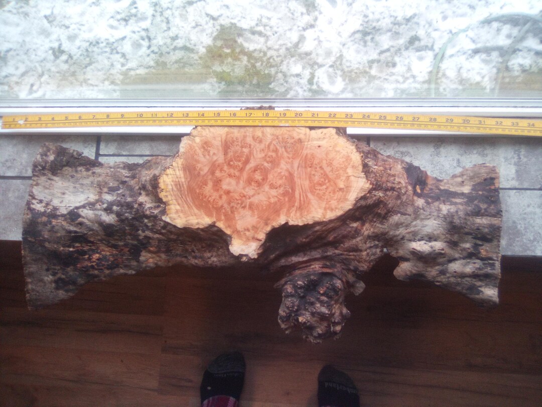 1 Figured Spaulted,maple Burl Slice 29"x11"x1.5" - Etsy