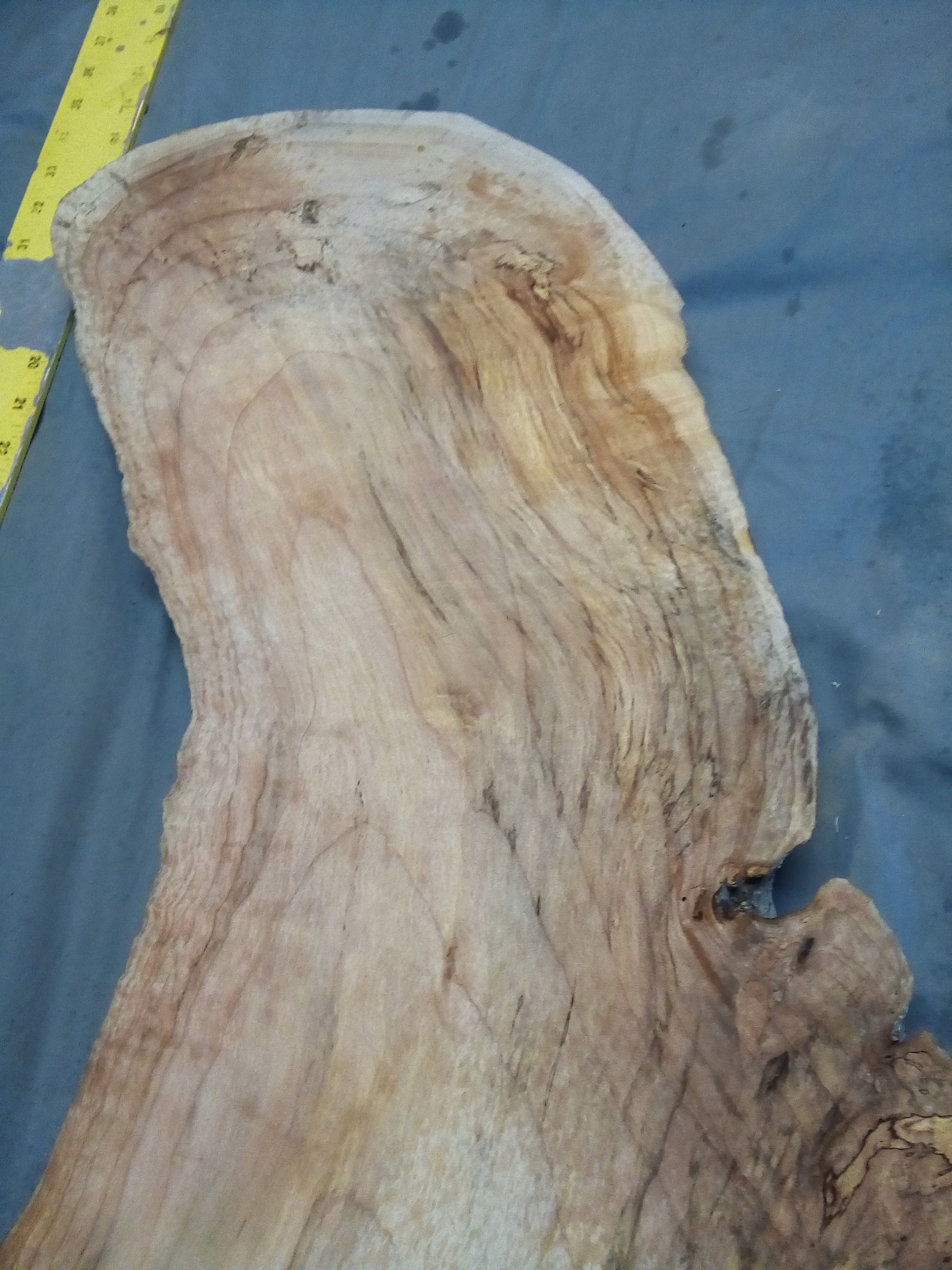 Spaulted Maple Swirl Slab32x16x2 | Etsy