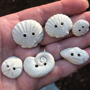 Porcelain Seashell Buttons-shell Ivory Artisan Buttons-shell Button ...