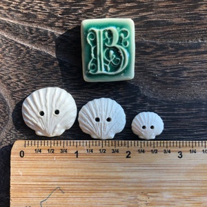 Porcelain Seashell Buttons-shell Ivory Artisan Buttons-shell Button ...