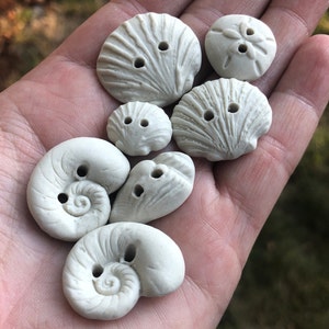 Porcelain Seashell Buttons-shell Ivory Artisan Buttons-shell Button ...