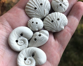 Sand Dollar Buttons - Etsy