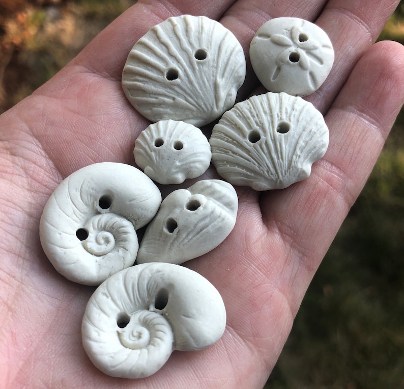 Porcelain Seashell Buttons-shell Ivory Artisan Buttons-shell Button ...