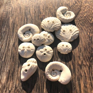 Porcelain Seashell Buttons-shell Ivory Artisan Buttons-shell Button ...