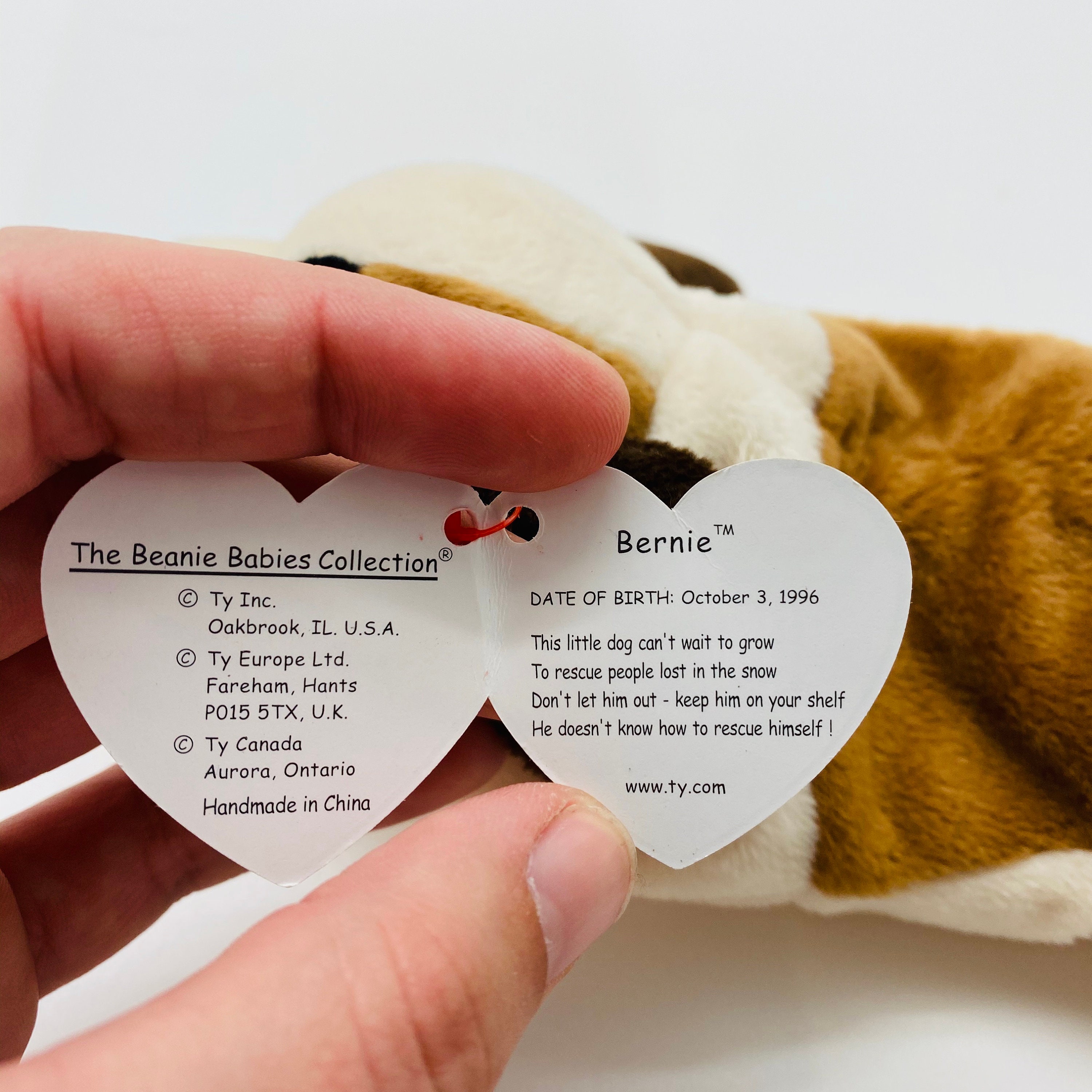 Bernie St. Bernard Beanie Baby - Etsy