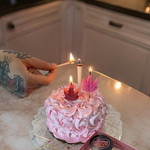 420 Novelty Joint and Hemp Leaf Soy Wax Cake Candles - Etsy