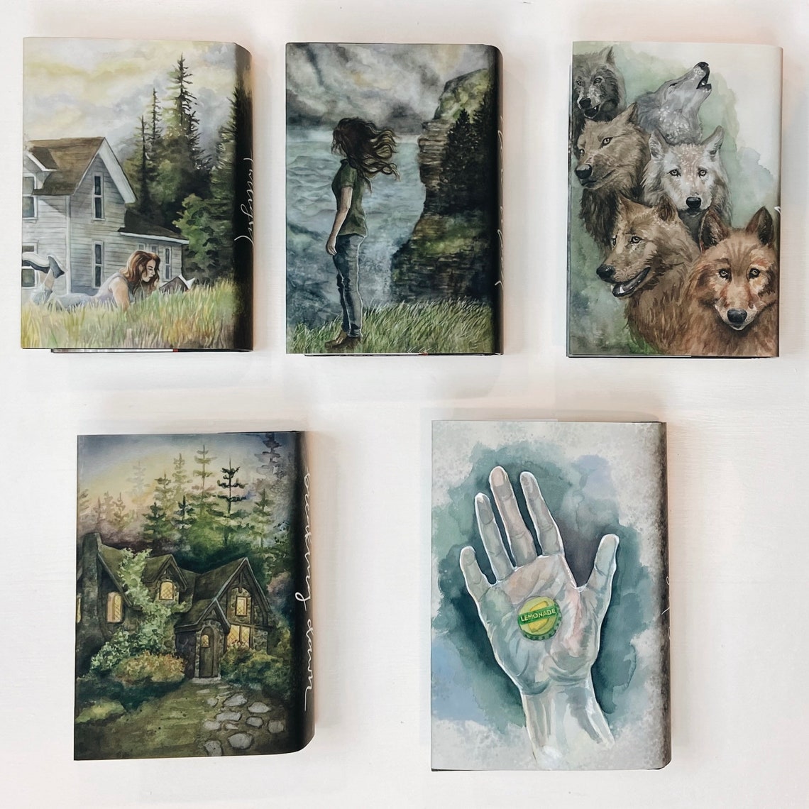 Hardback Twilight Saga Dust Jacket Set Featuring Original | Etsy