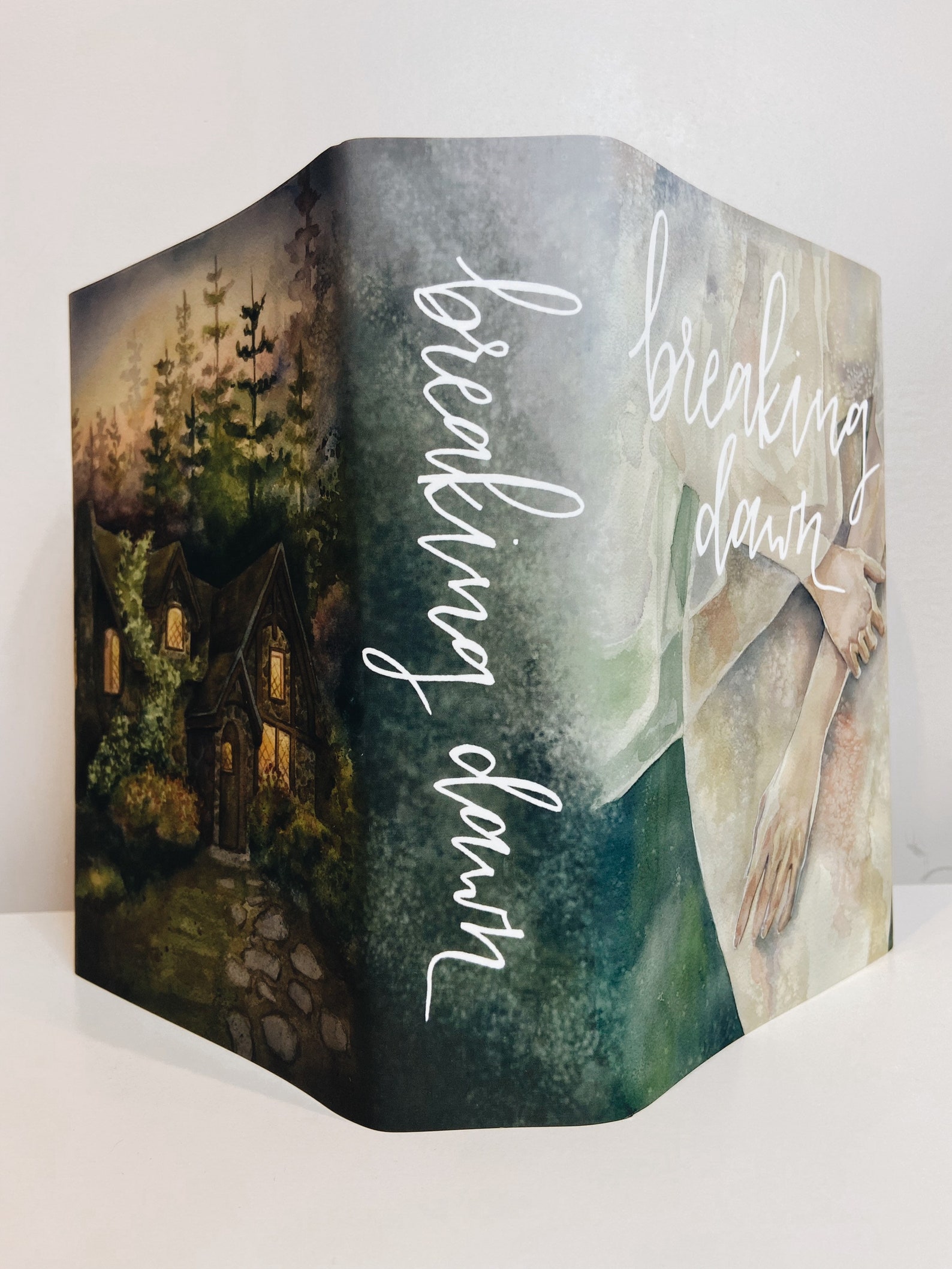 Hardback Twilight Saga Dust Jacket Set Featuring Original - Etsy