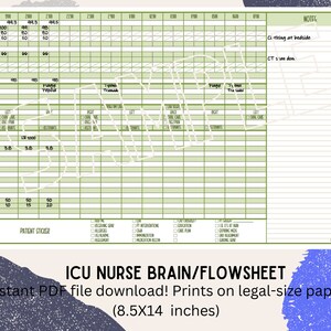 ICU Brain/flowsheet Instant Download - Etsy