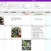 Editable Onenote 2025 Calendar, Monthly Planner, Digital Planner ...