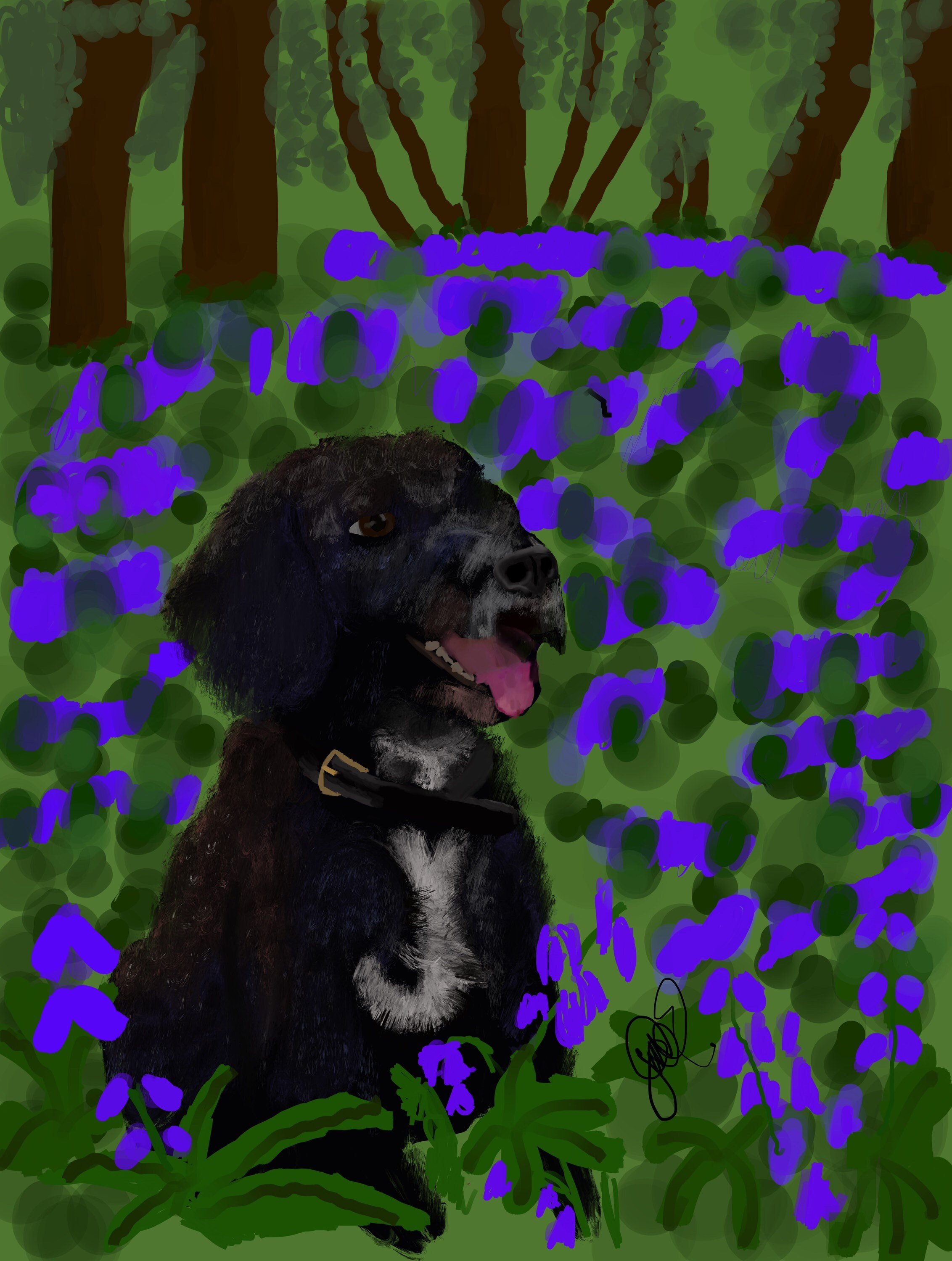 Custom Digital Pet Portraits - Etsy