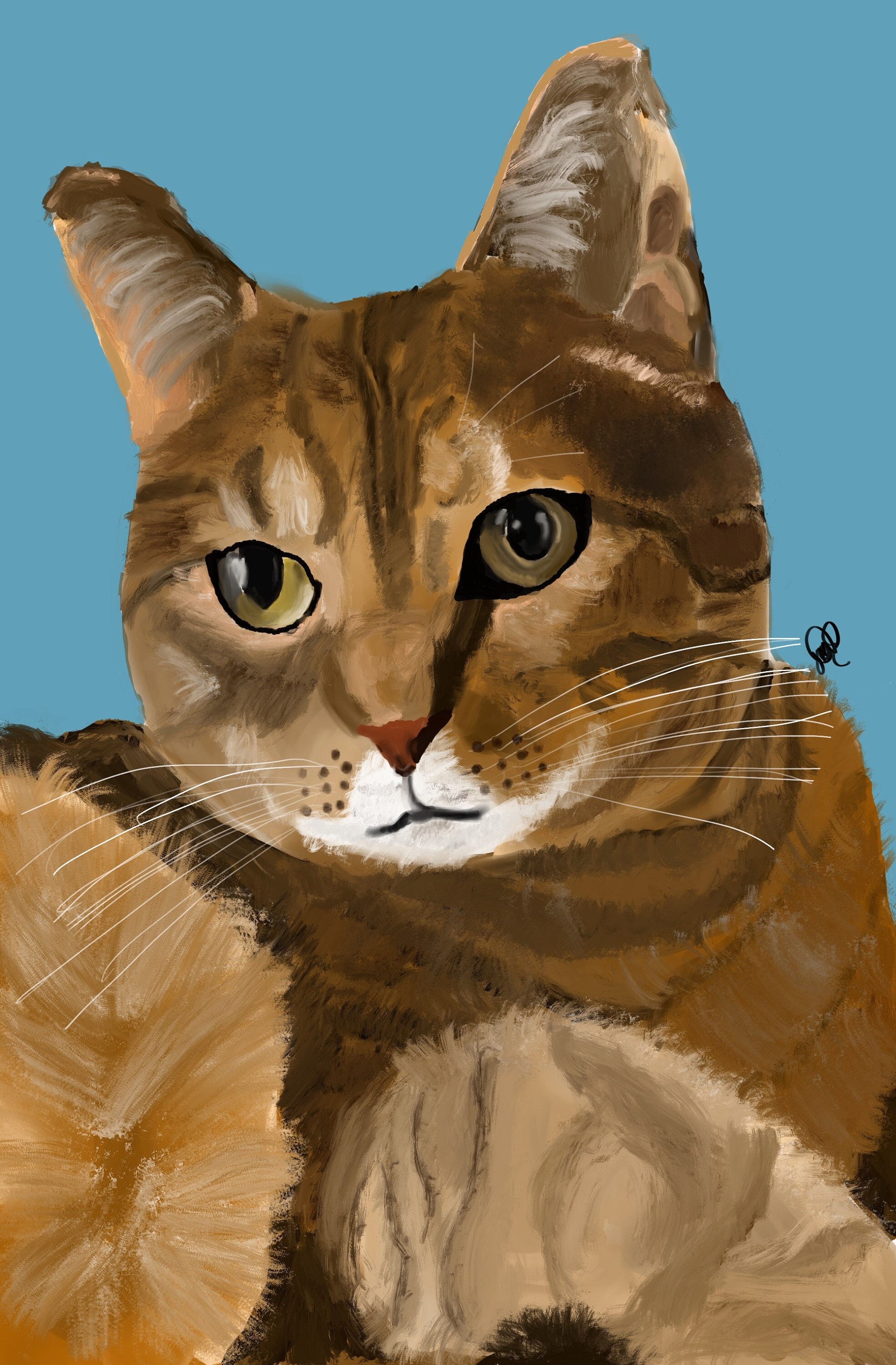 Custom Digital Pet Portraits - Etsy