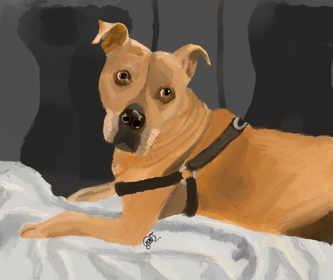 Custom Digital Pet Portraits - Etsy