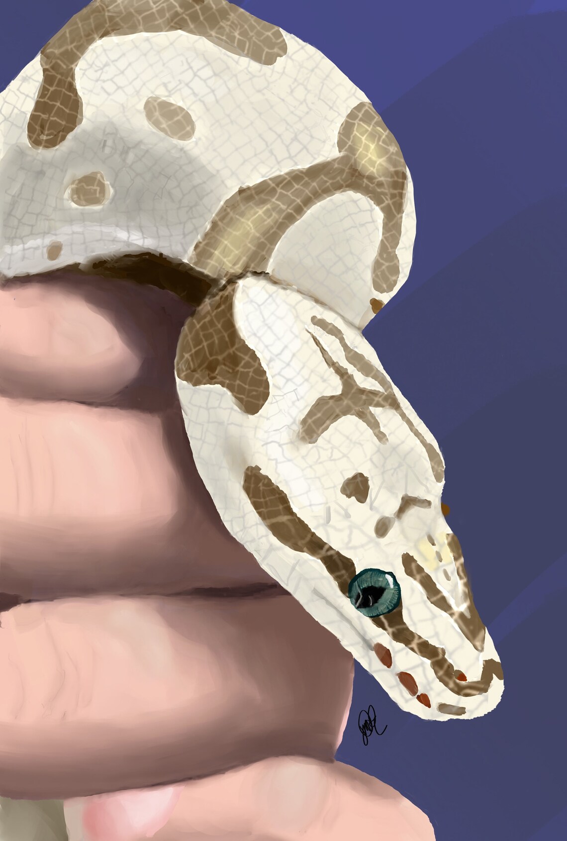 Custom Digital Pet Portraits - Etsy