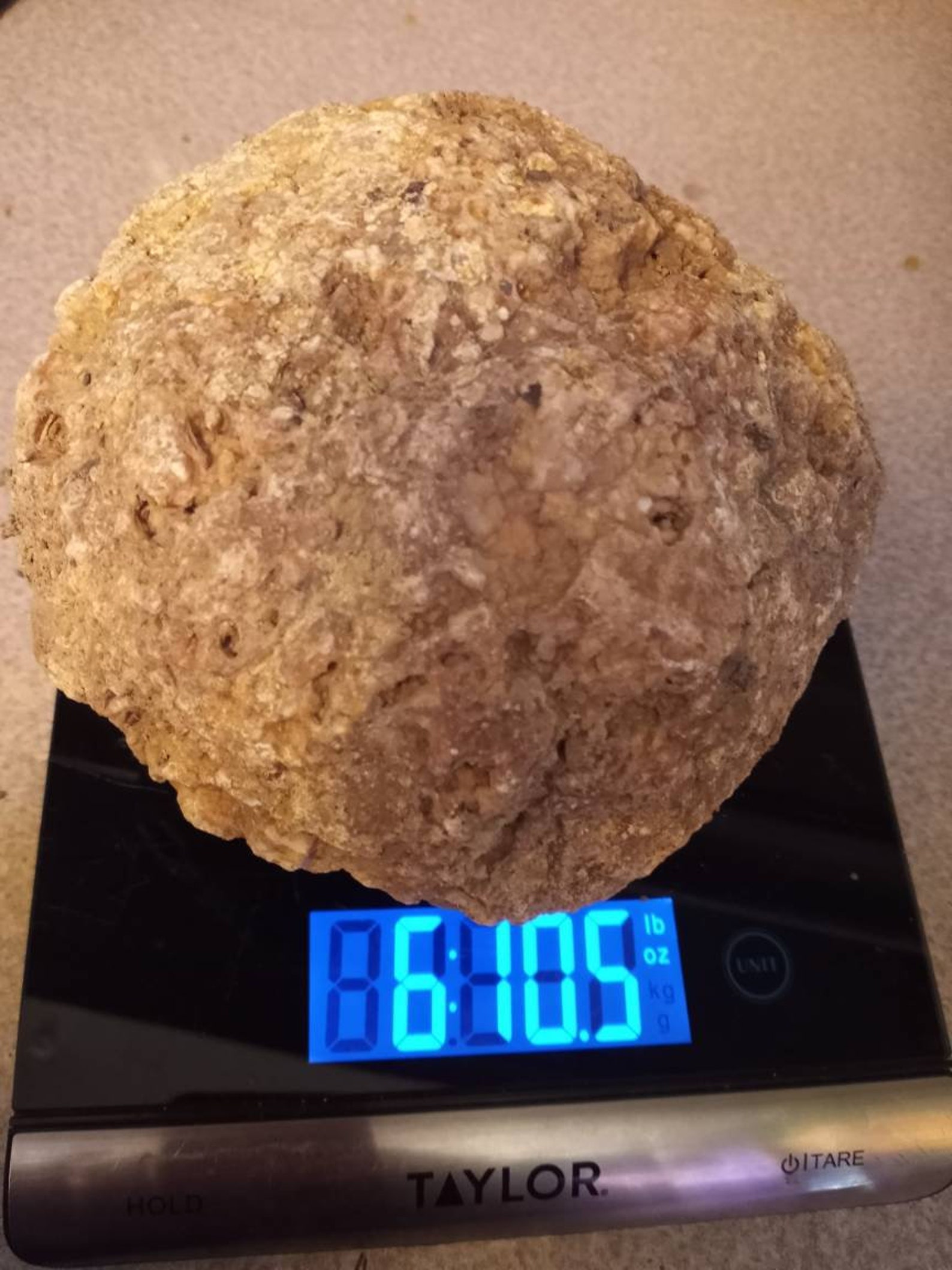 Large break your own geode | Etsy