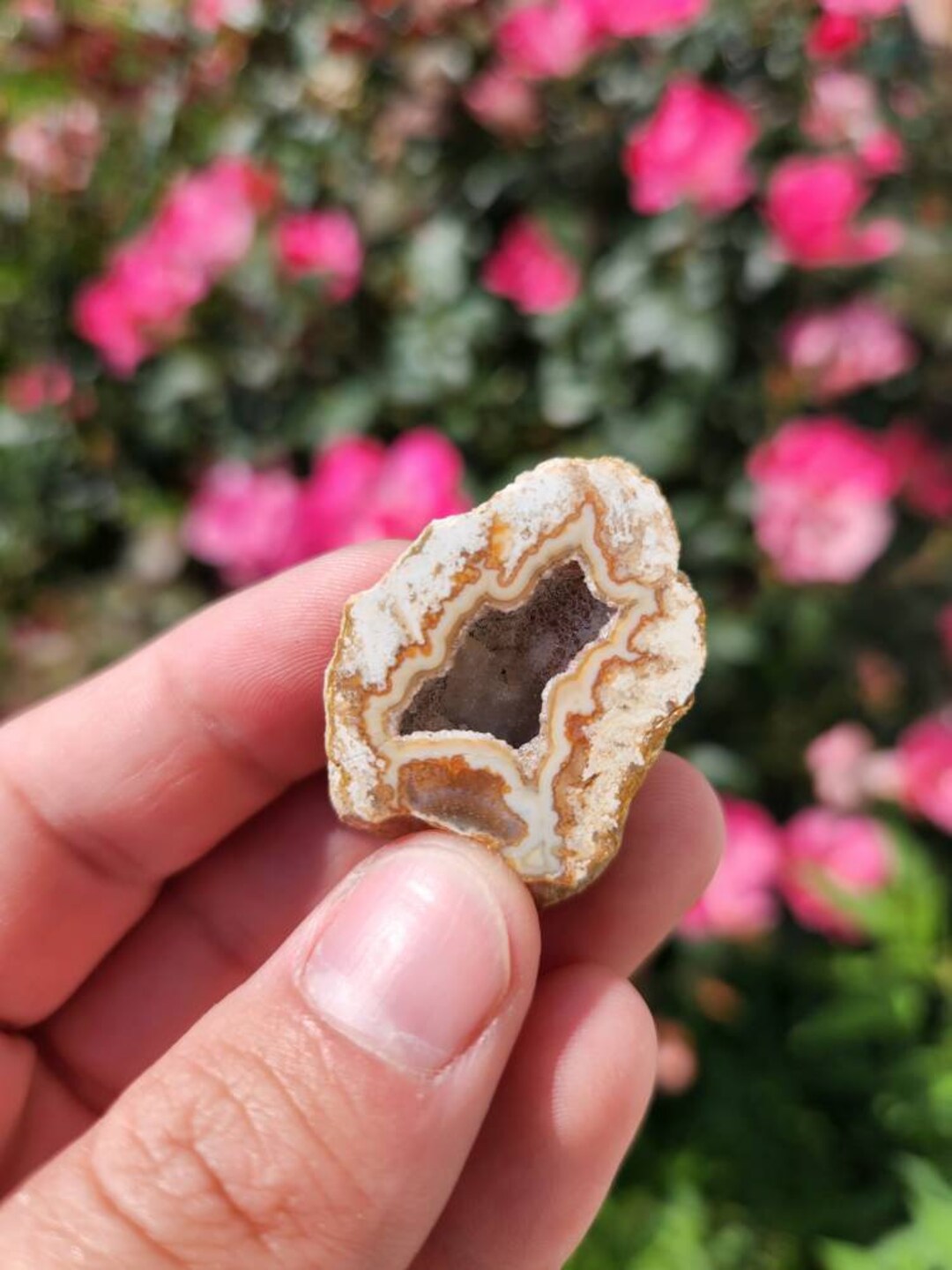 Small Kentucky Agate - Etsy
