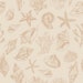 Beige and Cream Sandy Shells Seaside Shell Pattern Wallpaper Mural ...