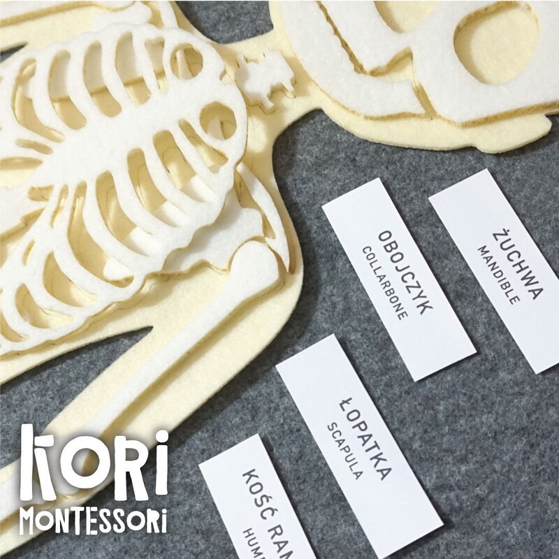 Human Body Felt - Etsy