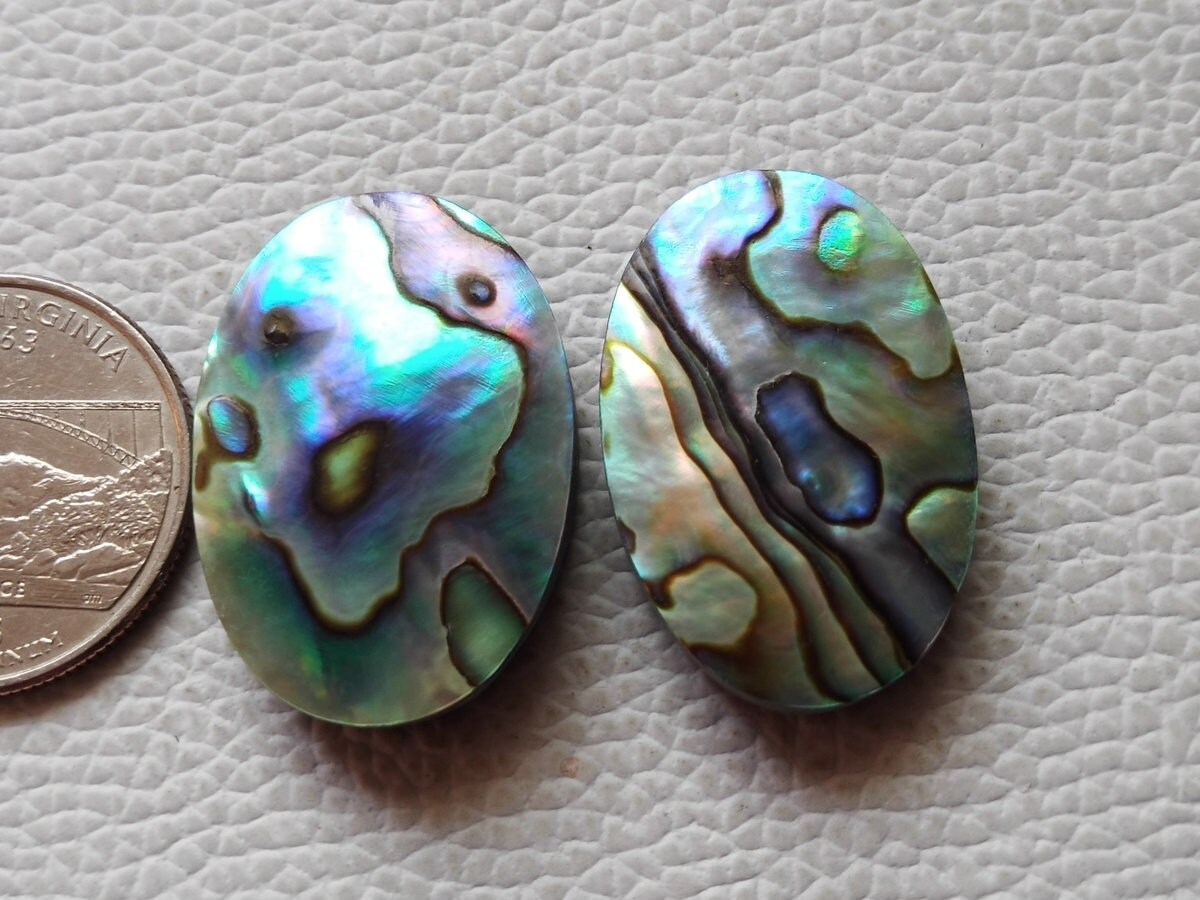 AAA Abalone Shell Gemstone 2 P'c Lot Abalone Shell Stone - Etsy