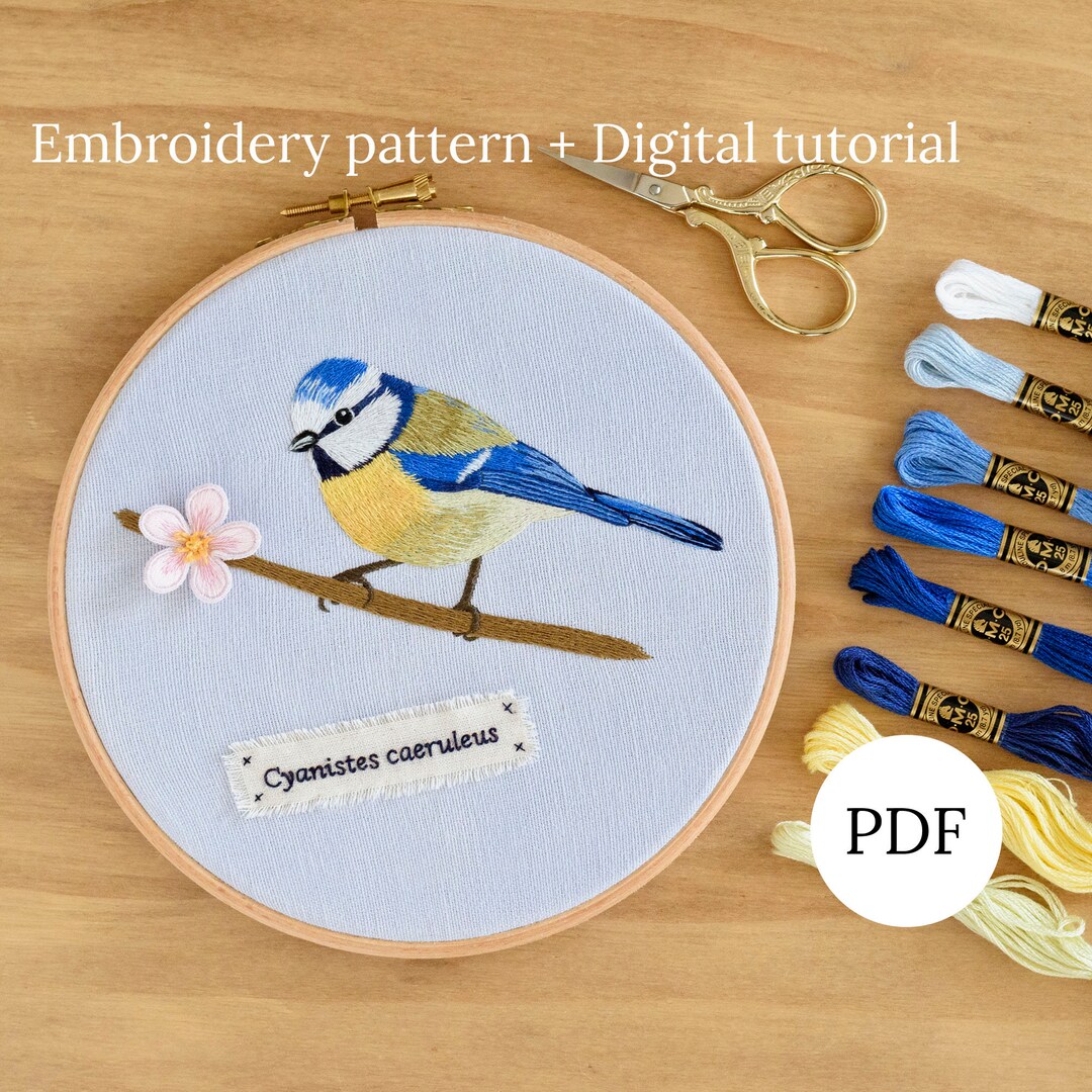 Blue Tit Hand Embroidery Pattern, Bird Needlepainting Tutorial, Flower ...