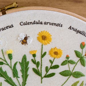 Linnaeus Floral Clock Embroidery Pattern: DIY Flower Stitch Guide (PDF ...
