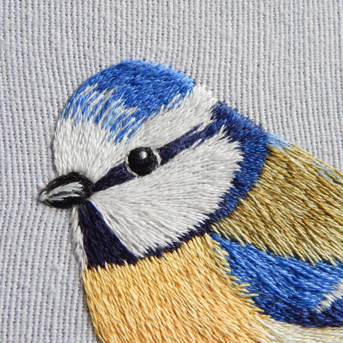 Blue Tit Hand Embroidery Pattern, Bird Needlepainting Tutorial, Flower ...