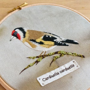Goldfinch Hand Embroidery Pattern Tutorial, Bird Needlepainting Hoop ...