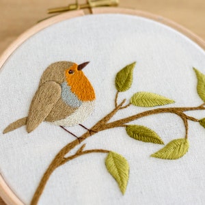 Robin Bird Hand Embroidery Pattern , Beginner Needle Painting Digital ...