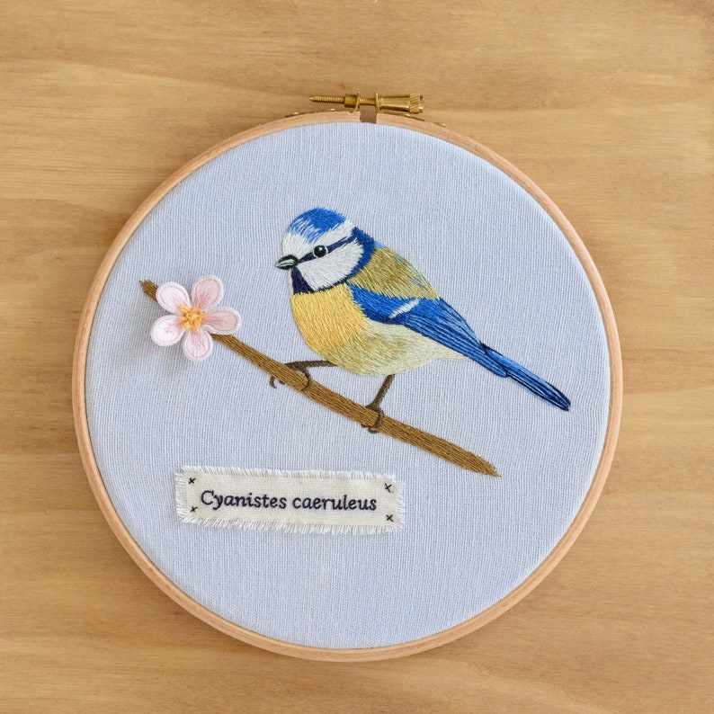 Blue Tit Hand Embroidery Pattern, Bird Needlepainting Tutorial, Flower ...