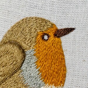 Robin Bird Hand Embroidery Pattern , Beginner Needle Painting Digital ...