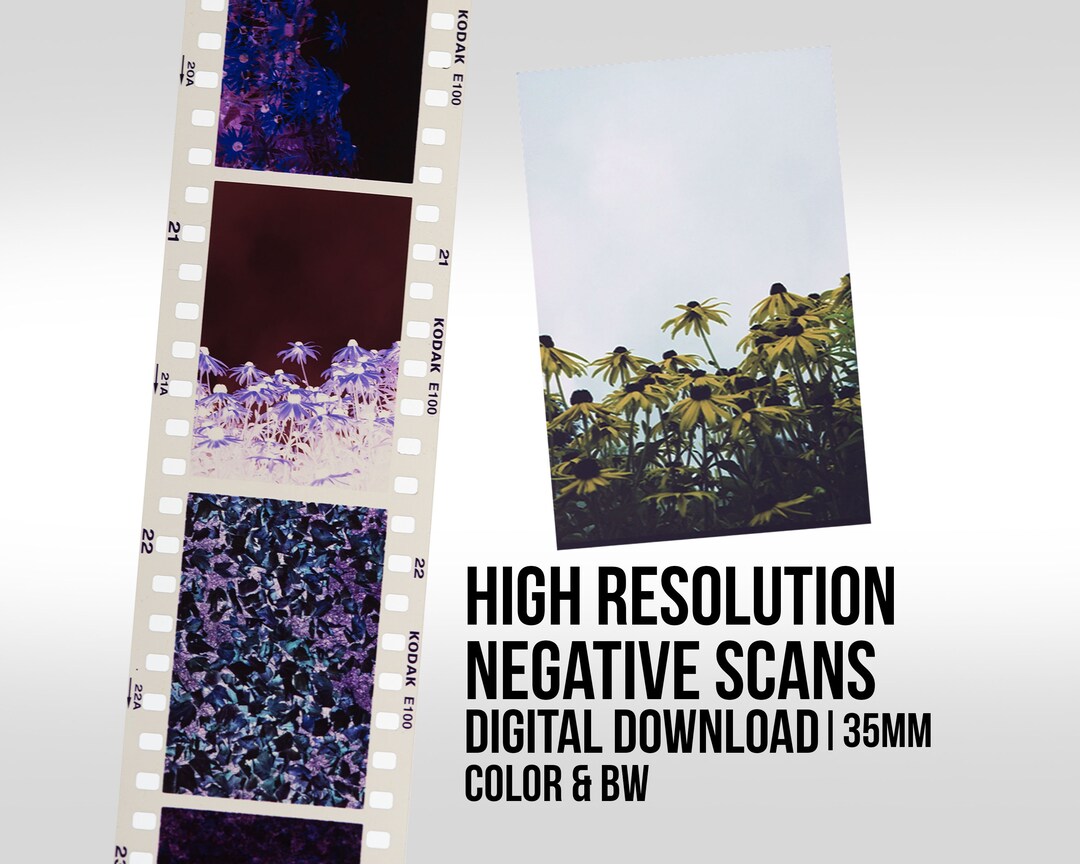 Negative Scanning | Film Scans | Scanning Only | Please See Our Other ...